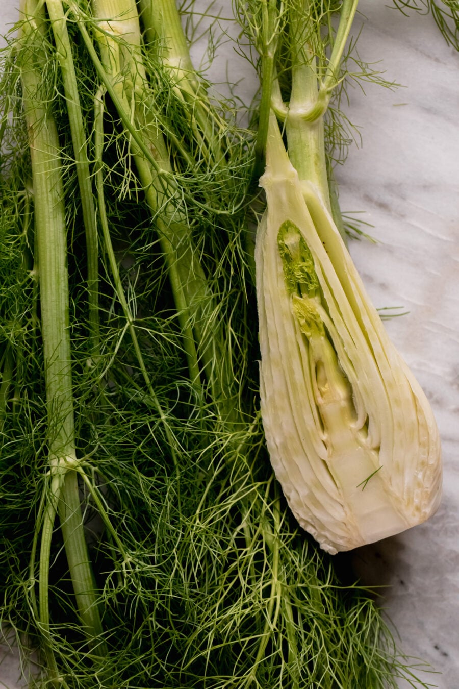 Roasted Fennel Salad with Orange Champagne Vinaigrette - Fanciful Eats